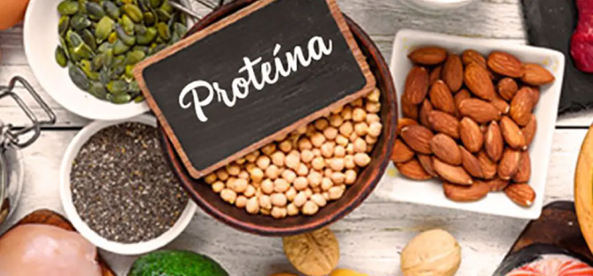 Proteínas: por que são tão importantes?